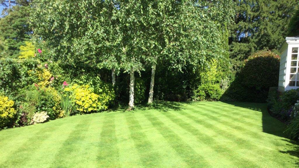 Shortlist for Britain's Best Lawn Announced - Ego Power+